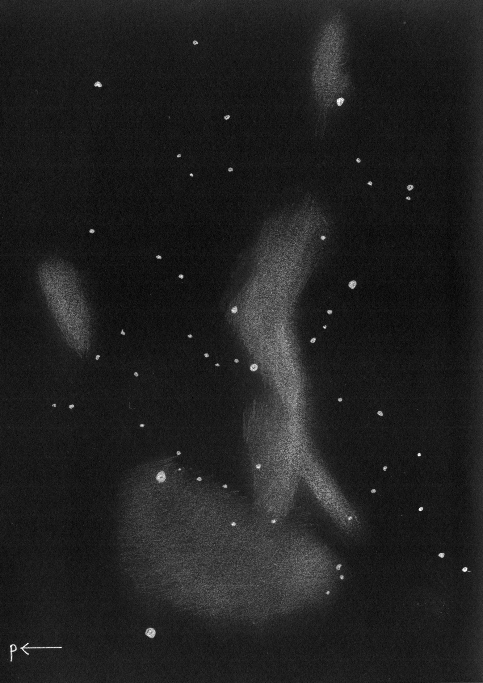 Veil Nebula Sketches – Animation – SkyInspector.co.uk